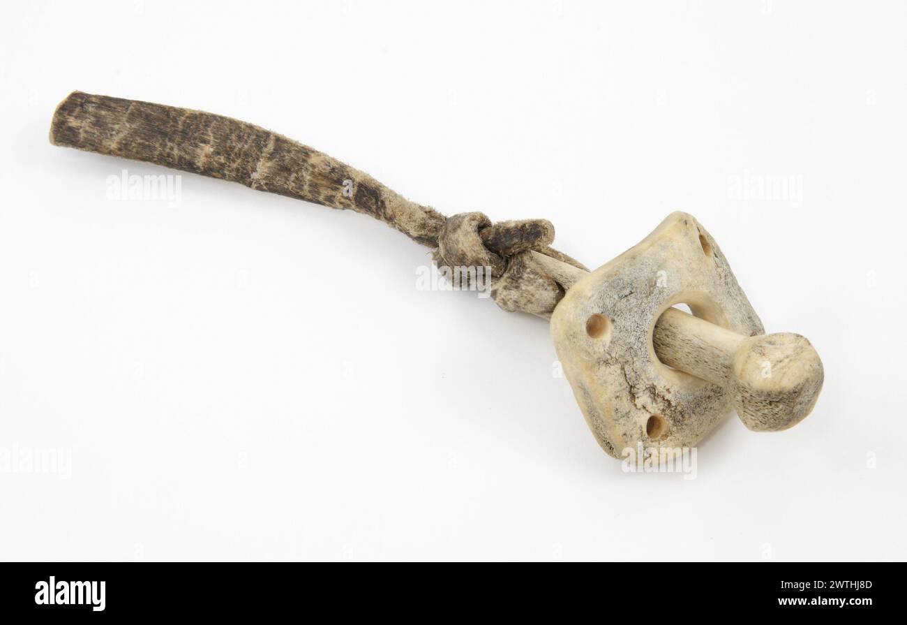 Dog harness fastener Stock Photo - Alamy