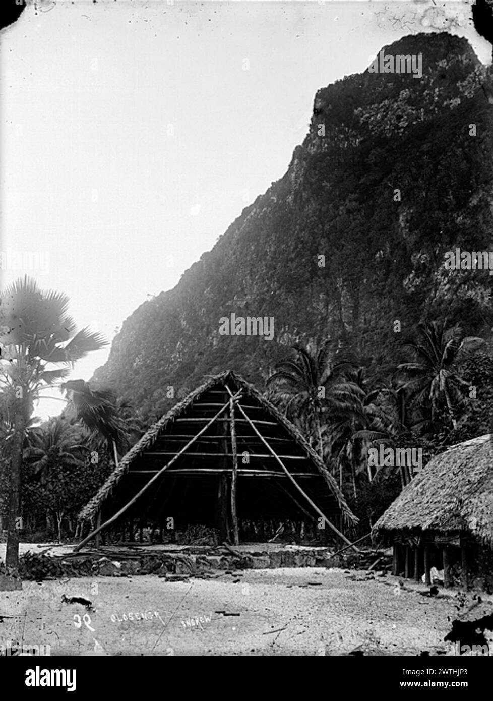 Olosega Island, Manu'a Island Group gelatin dry plate negatives, black ...