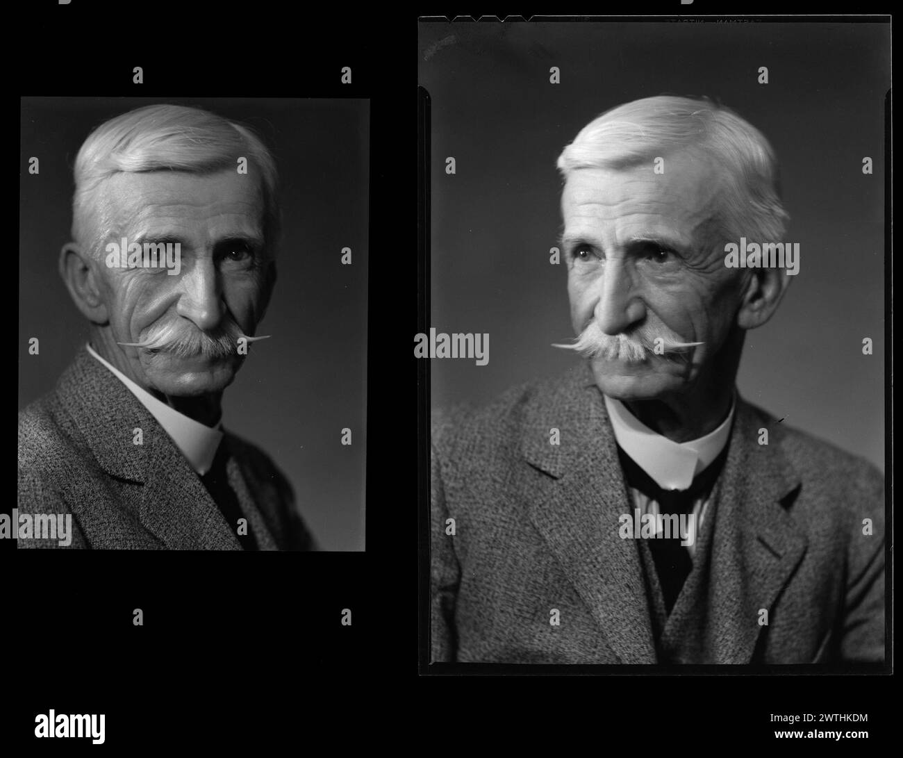 Man; inscribed 'Mr. Fenwick' Nitrate negatives, gelatin silver ...