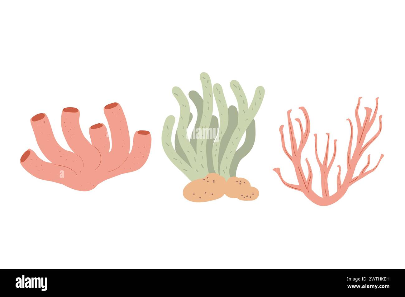 Coral reef set isolated on white background. Sea underwater elements ...