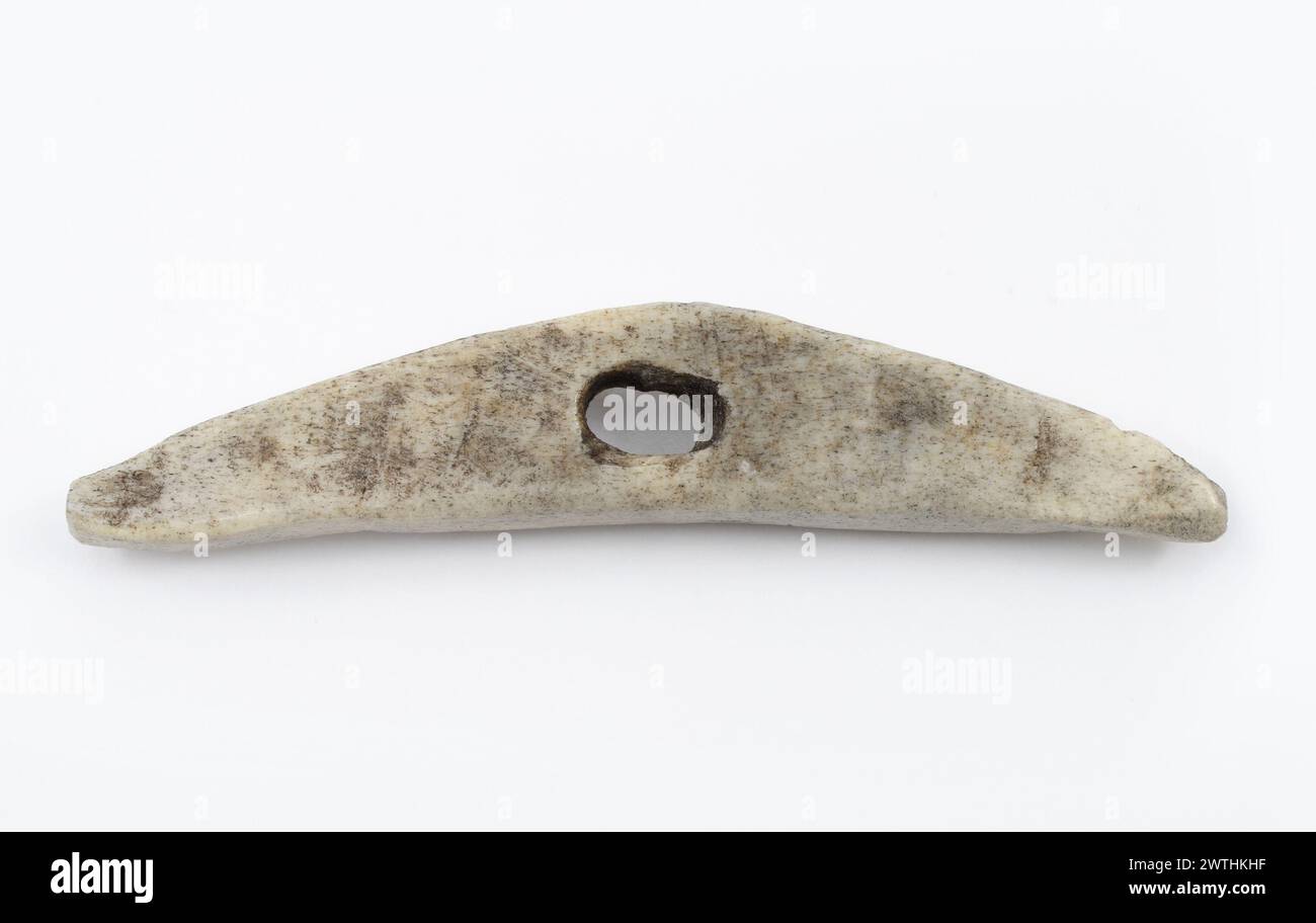 Dog trace fastener Stock Photo - Alamy