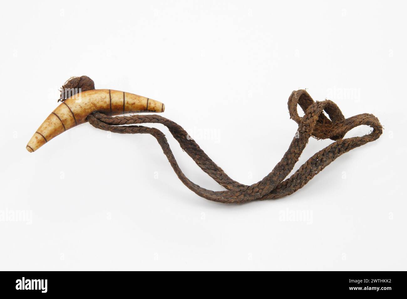 Toggle seal seal hi-res stock photography and images - Alamy