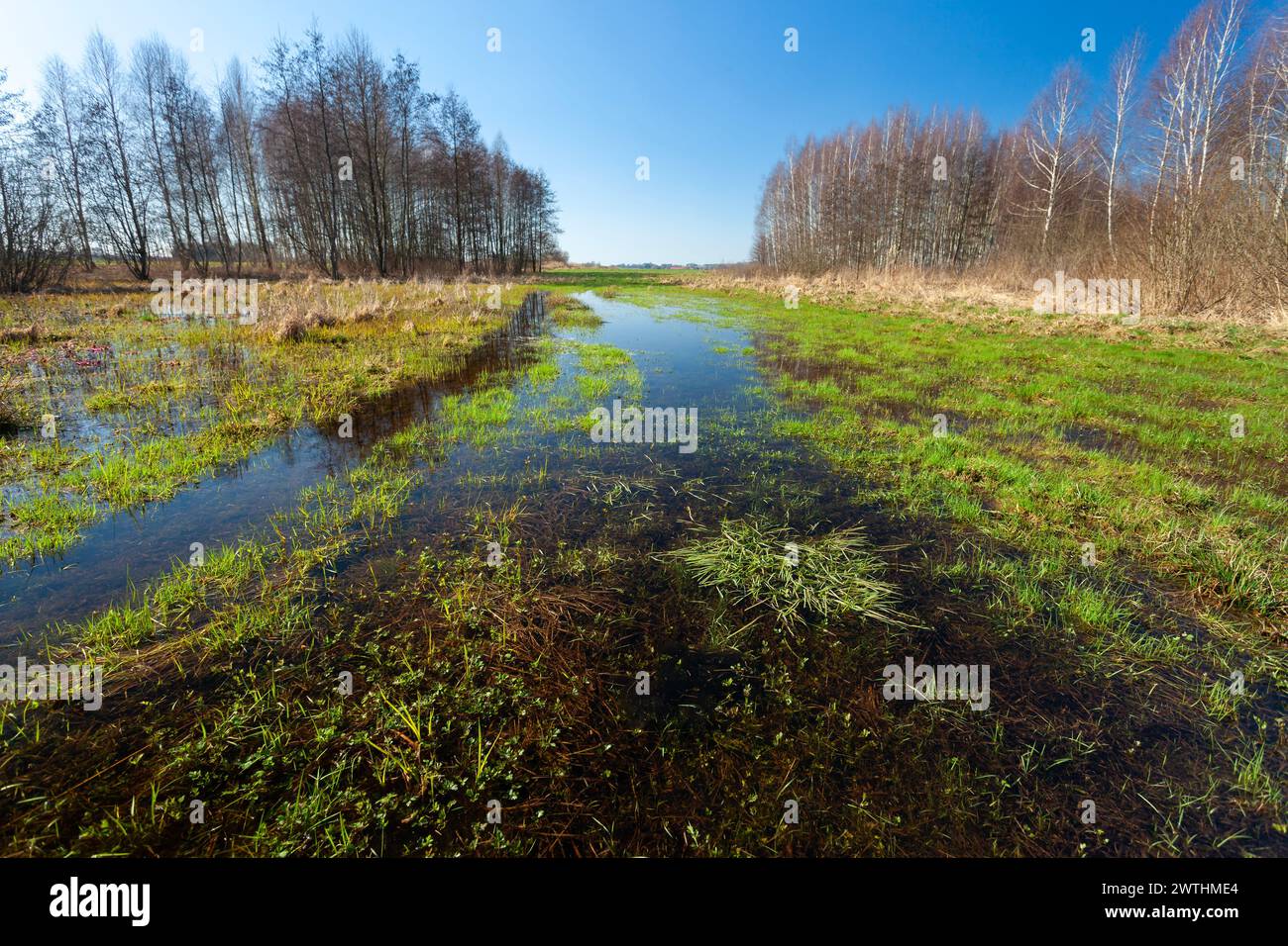 Wet landscape view hi-res stock photography and images - Alamy