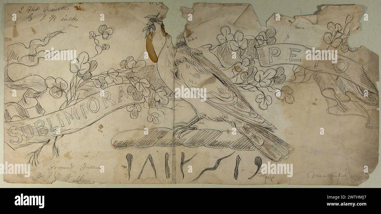 Sketch - Design, dove with motto "Sublimiora Peto" John Henry Walker ...