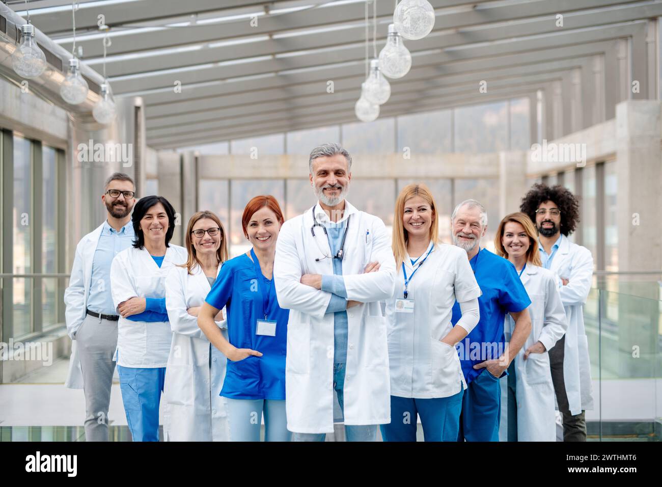 Portrait of team of doctors. Healthcare team with doctors, nurses ...