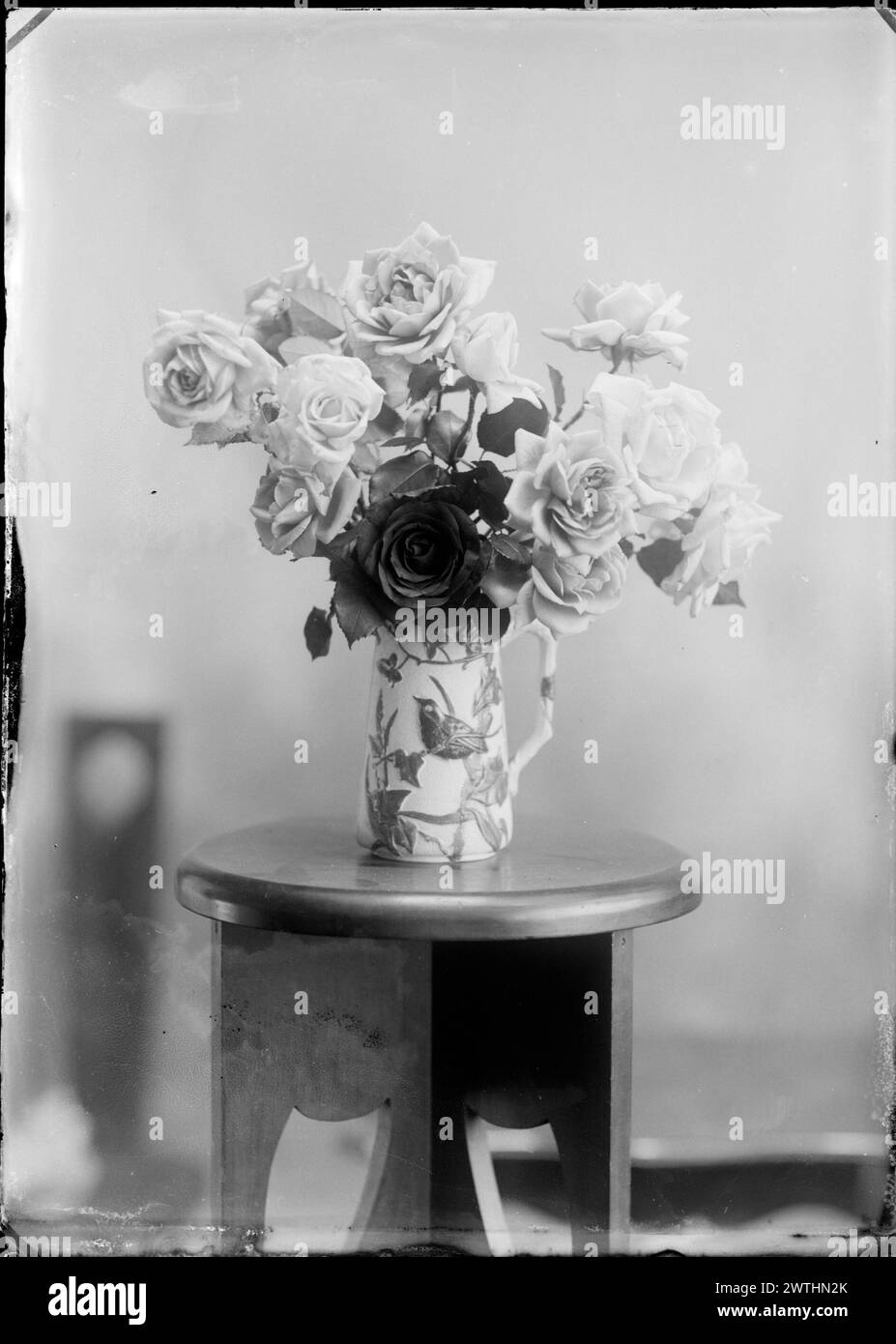 Roses in a jug black-and-white negatives, gelatin dry plate negatives ...
