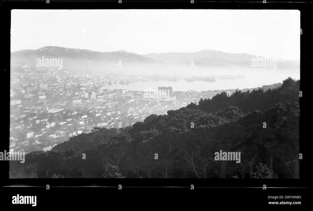 Morning mists over Lambton Harbour, from Mount Alfred on Mount Victoria ...