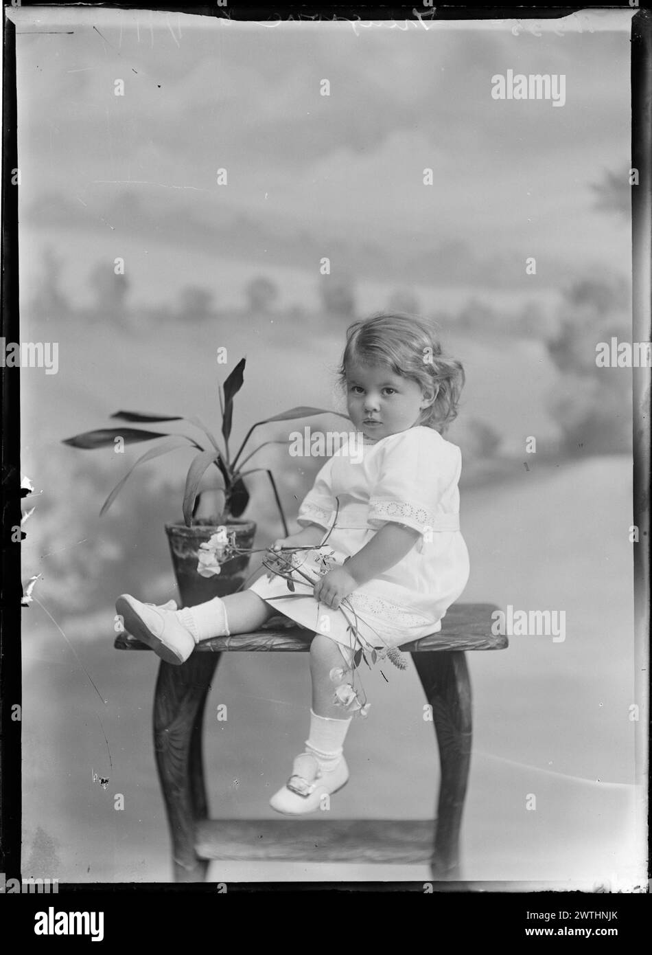 Trengrove 6 studio portraits, portraits, black-and-white negatives ...