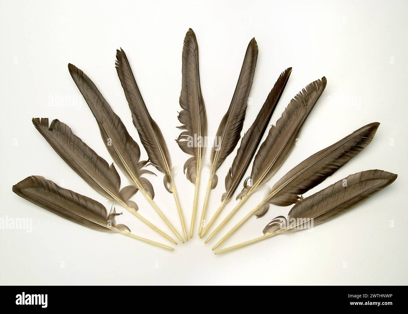 Ceramic material properties hi-res stock photography and images - Alamy