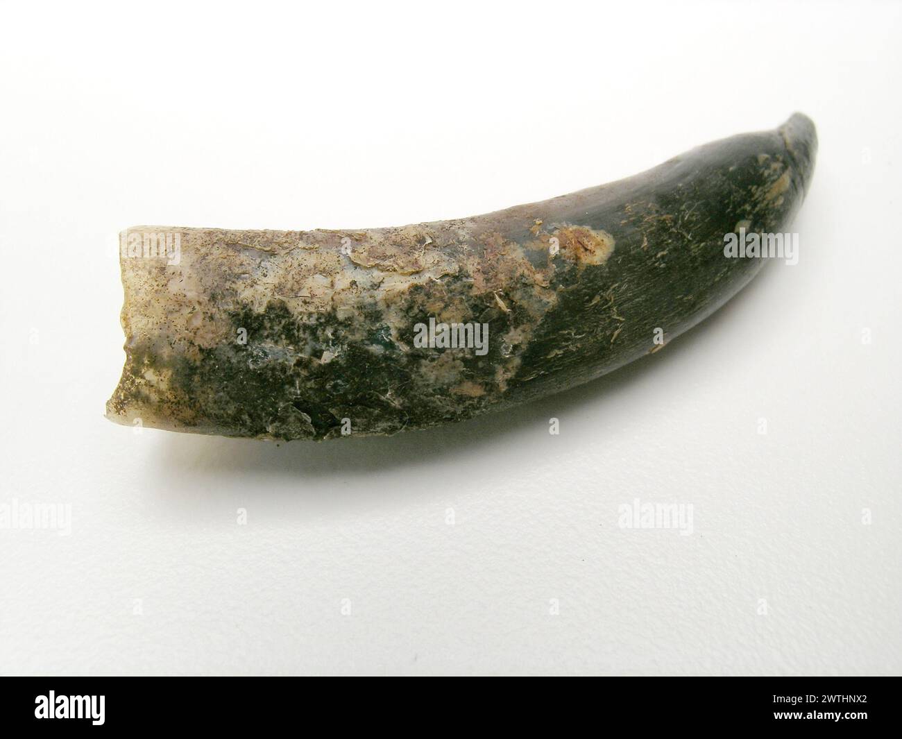 Material sample Stock Photo - Alamy