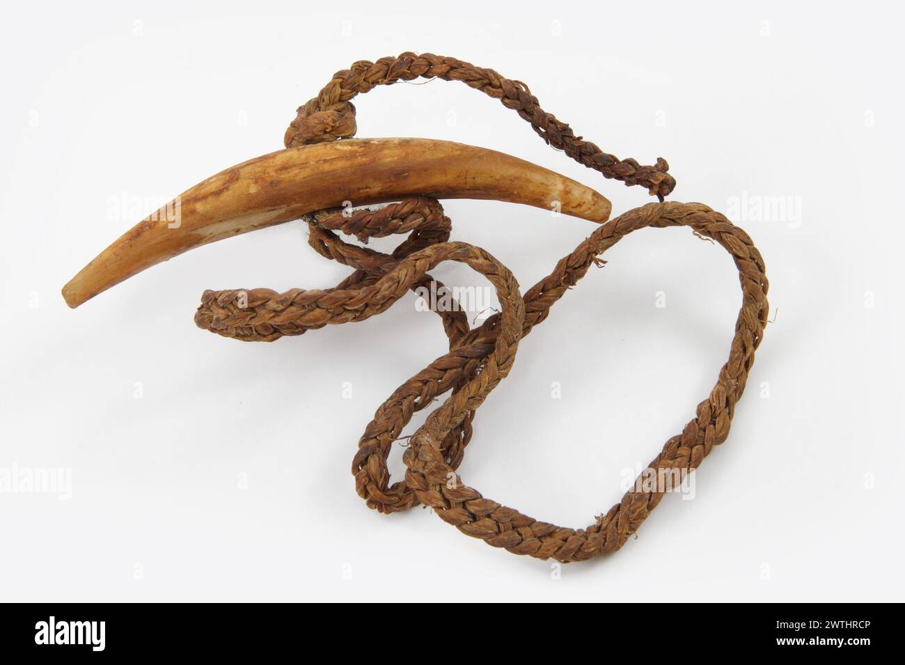 Seal toggle Stock Photo - Alamy