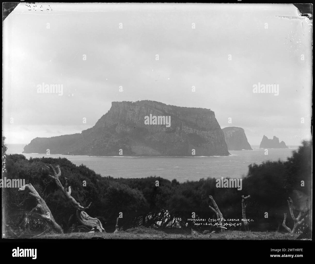 Mongarei (750 feet) & Castle Rock Island gelatin dry plate negatives ...