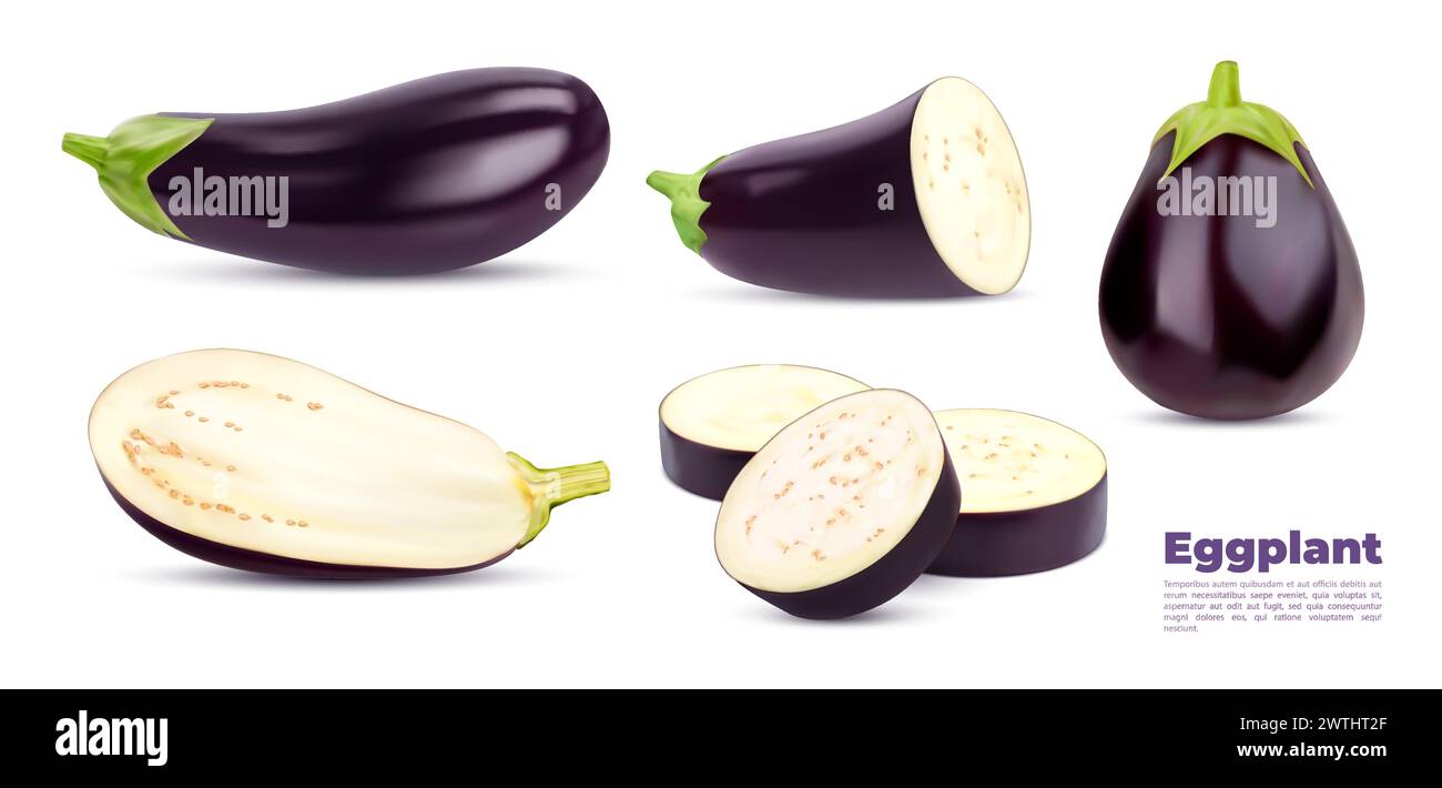 Brinjal seed Cut Out Stock Images & Pictures - Alamy