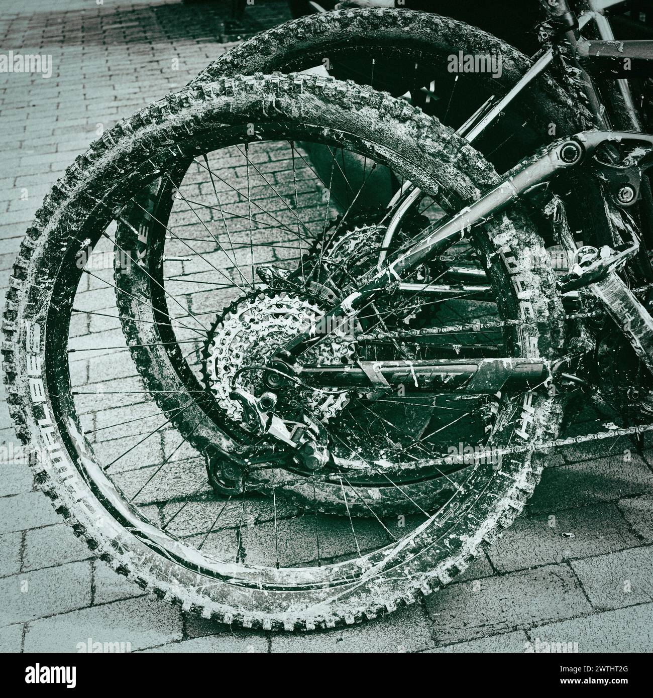 Black and white gritty image of muddy back wheels on two cross country ...