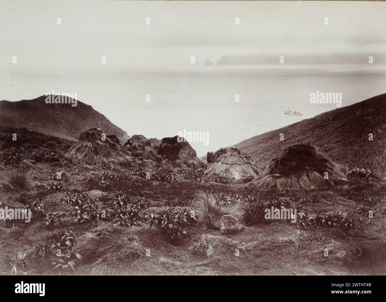Shipwrecked mariners camp, Disappointment Island. Auckland Islands ...