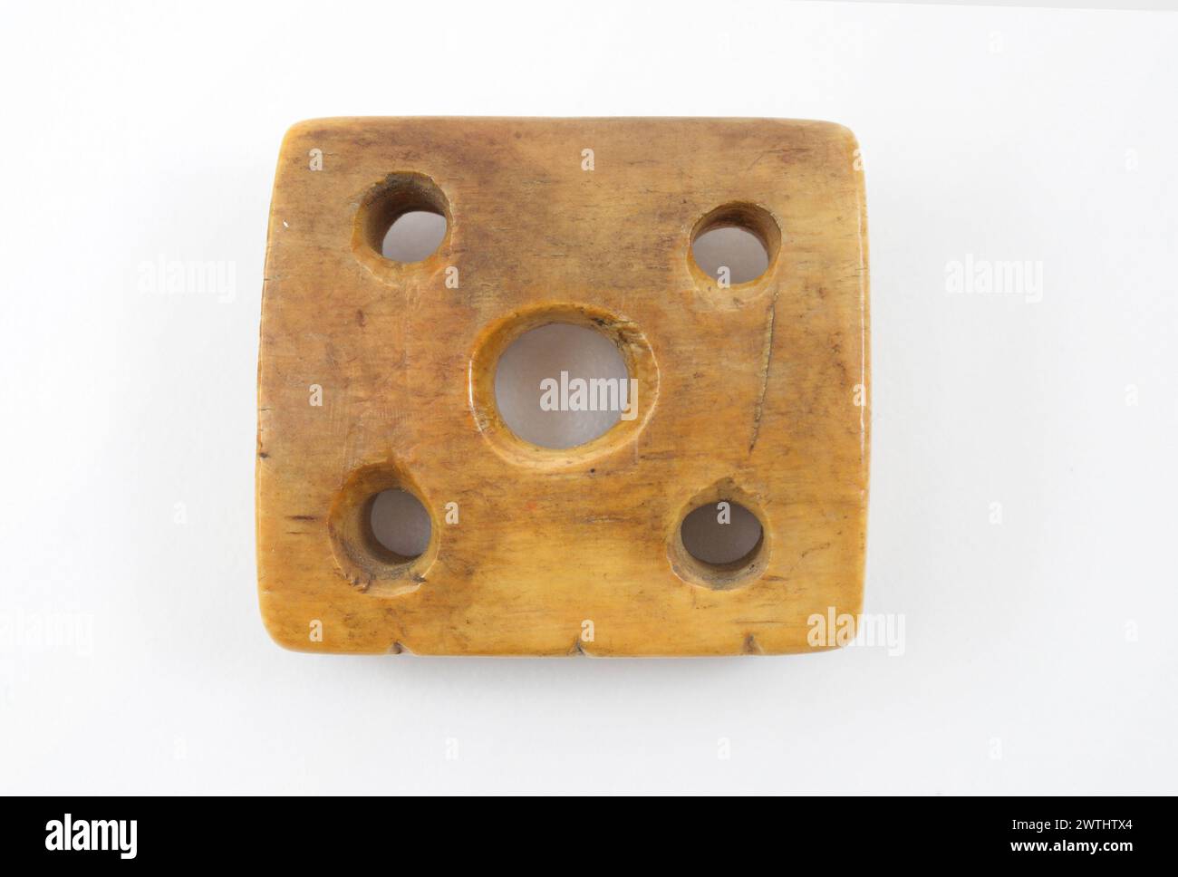 Dog harness fastener Stock Photo - Alamy