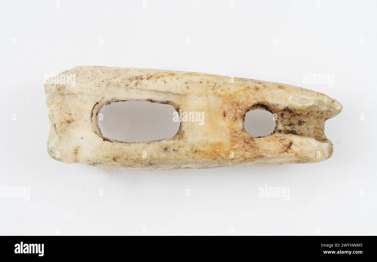 Dog harness fastener Stock Photo - Alamy