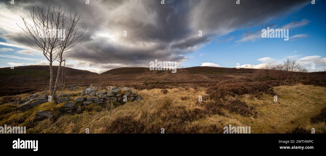 The lost remains of an old croft house sit high on the hillside above ...