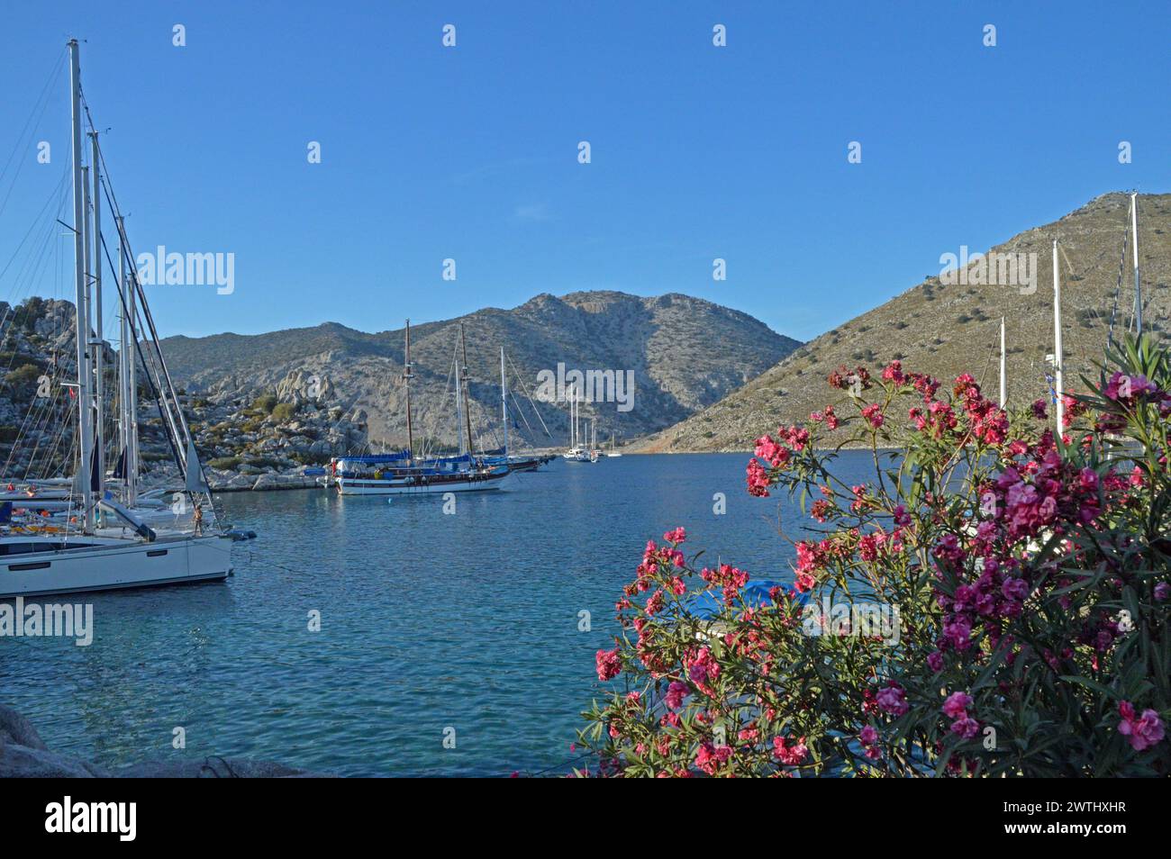 Turkey, Bozburun Peninsula, Loryma: view of the bay, with bougainvillea ...