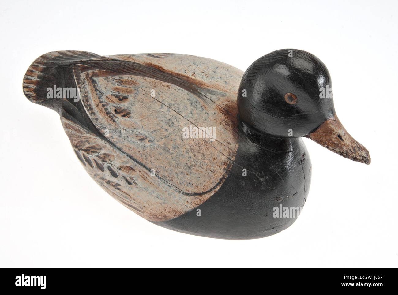 Decoy hunting hi-res stock photography and images - Alamy