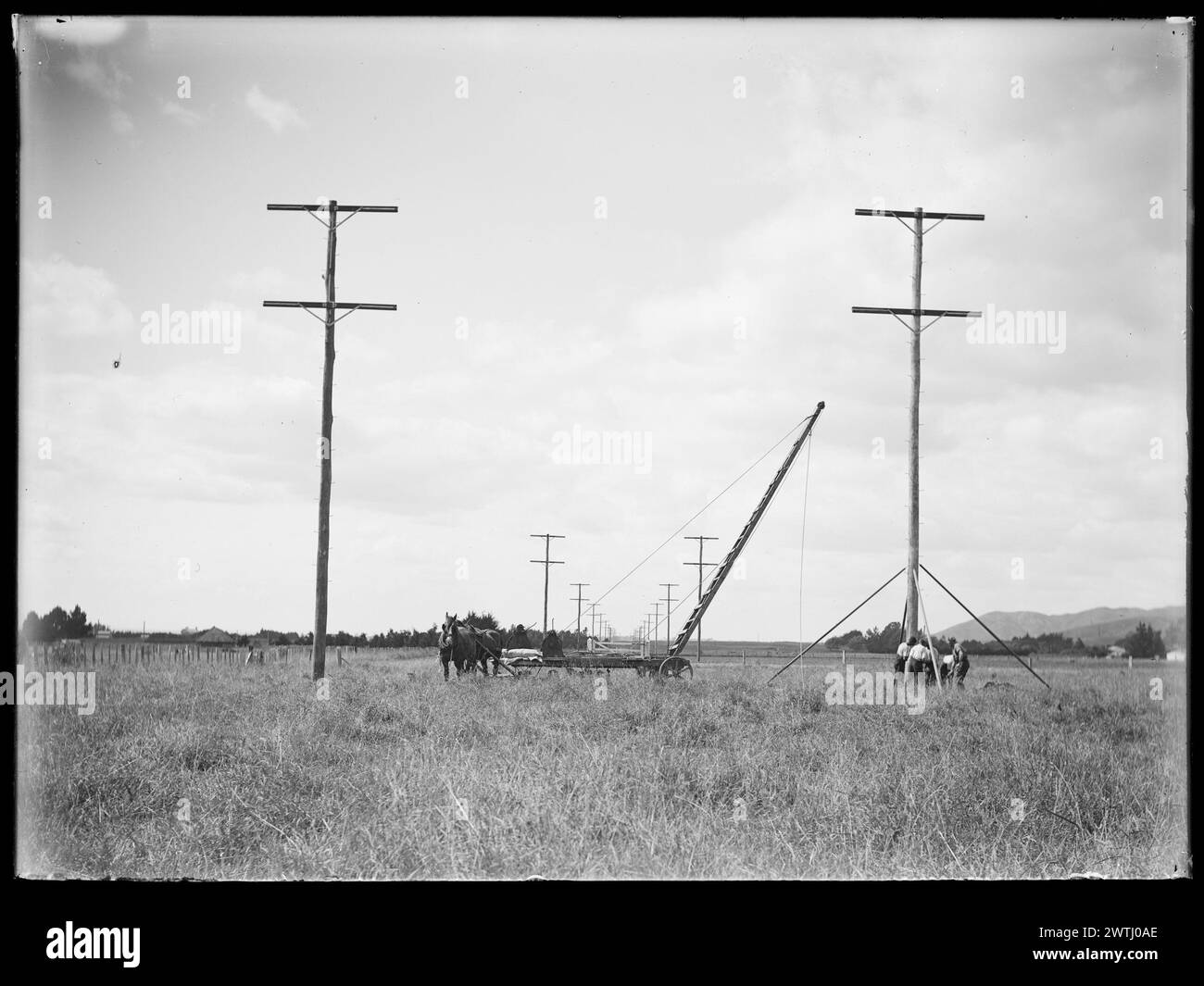 View along series of telephone poles black-and-white negatives, gelatin ...