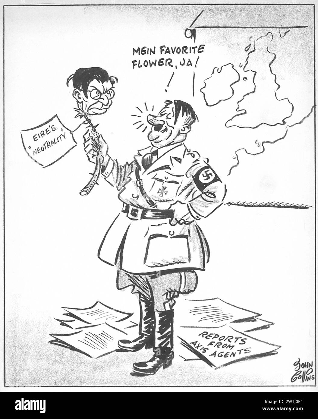 Irish rose Black and White Stock Photos & Images - Alamy