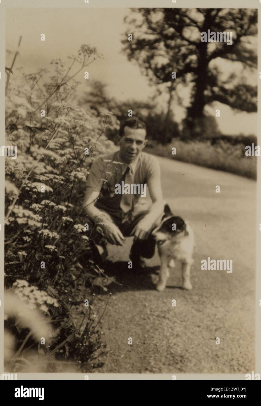 Somerset eric lee johnson and dog hi-res stock photography and images ...