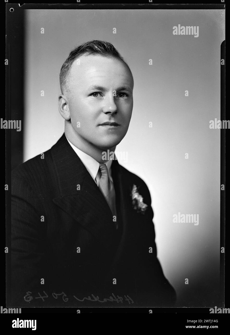 Mr H Hester gelatin silver negatives, black-and-white negatives, studio ...