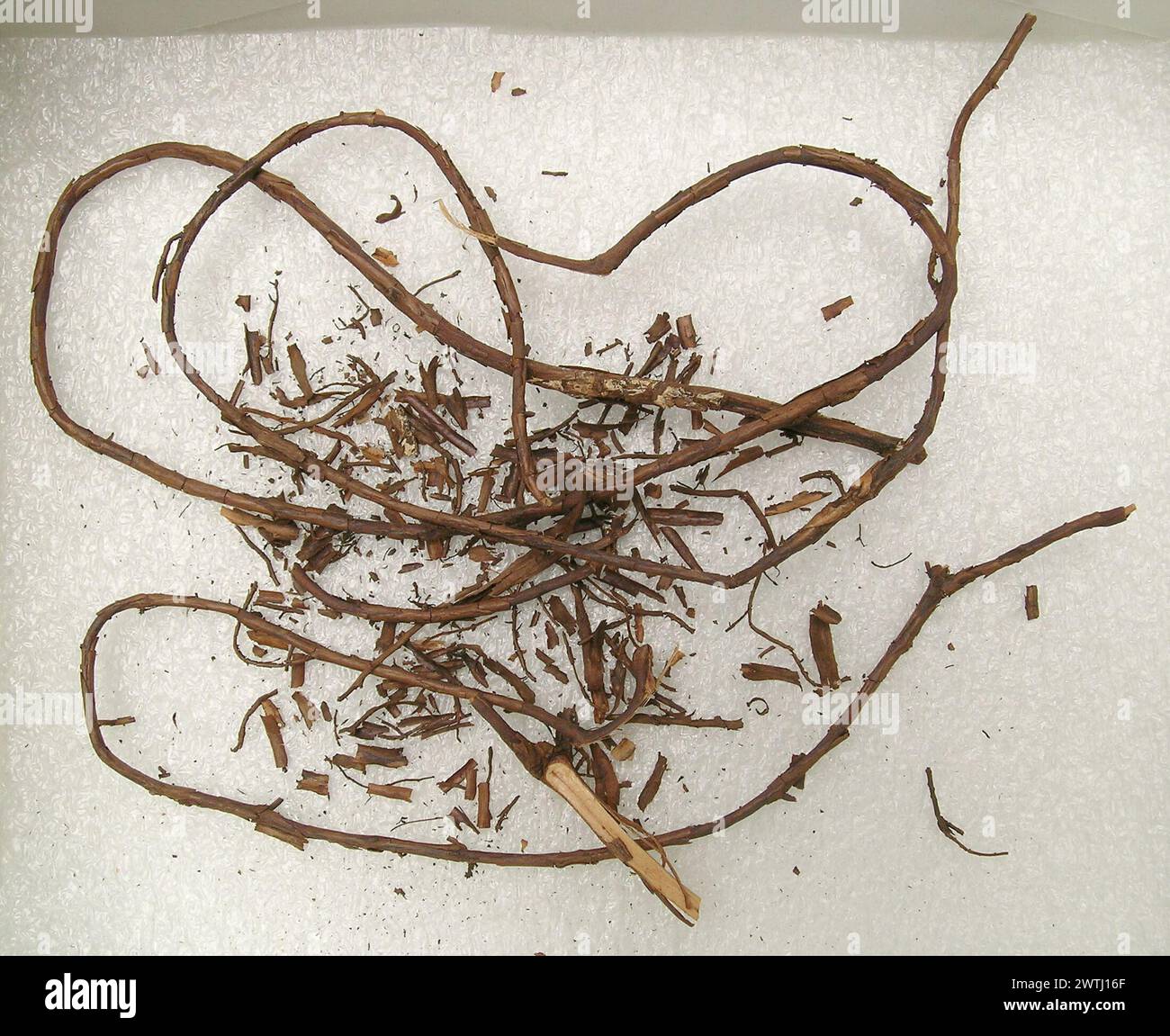 Material sample Stock Photo - Alamy