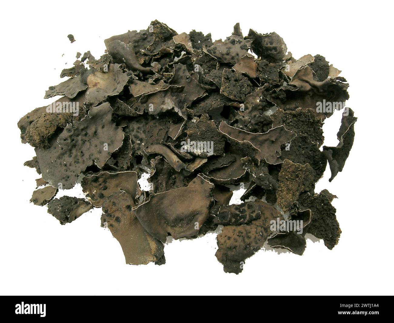 Material sample Stock Photo - Alamy