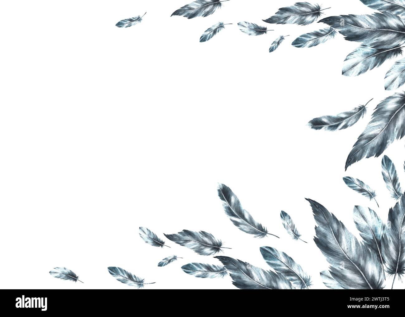 Watercolor monochrome banner. Bird gray black feathers with granulation ...