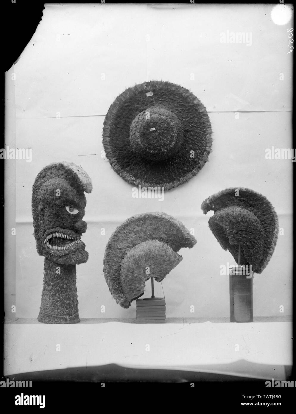 Feather elements Black and White Stock Photos & Images - Alamy