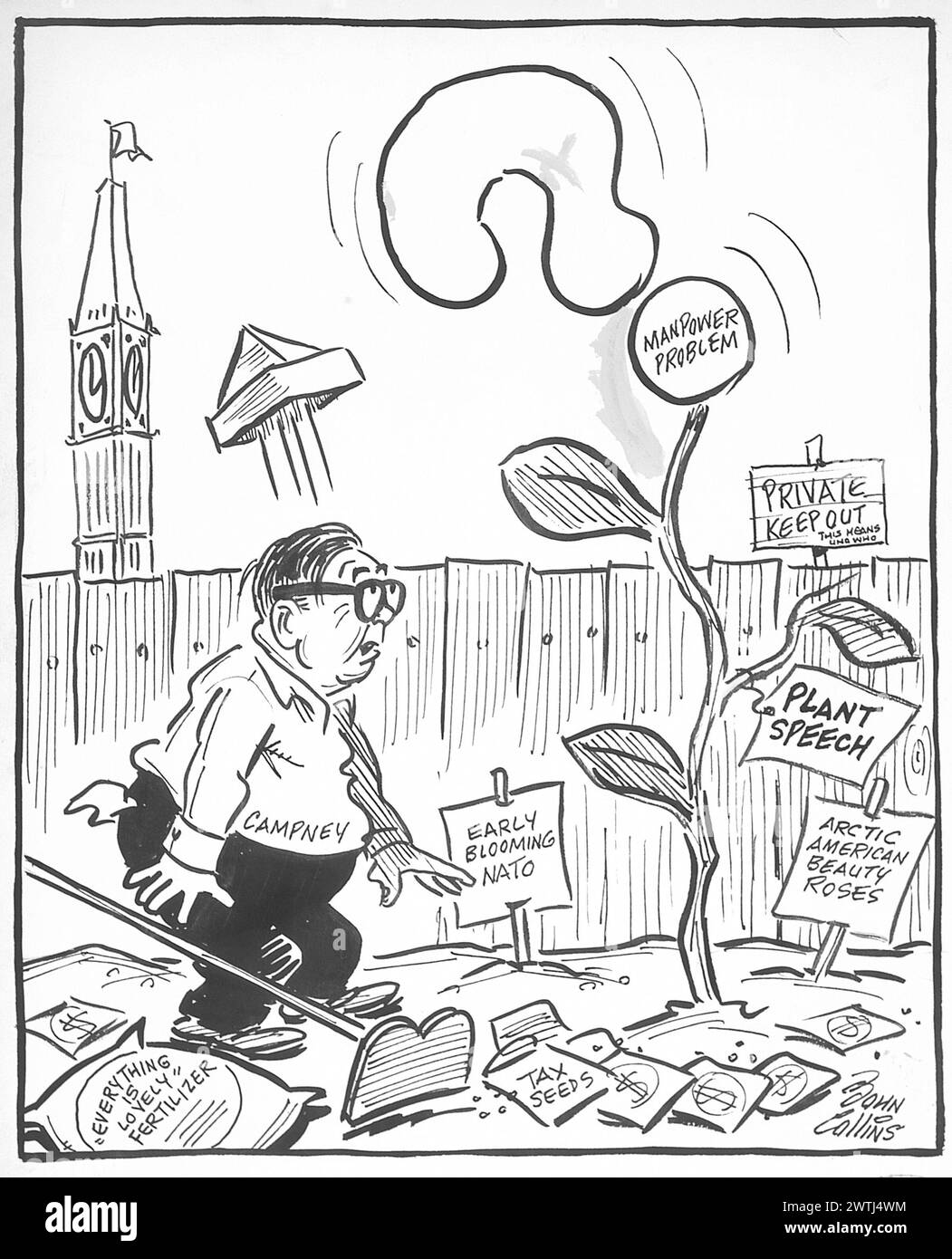 Cartoon - Plants Have Roots. John Collins (1917-2007 Stock Photo - Alamy