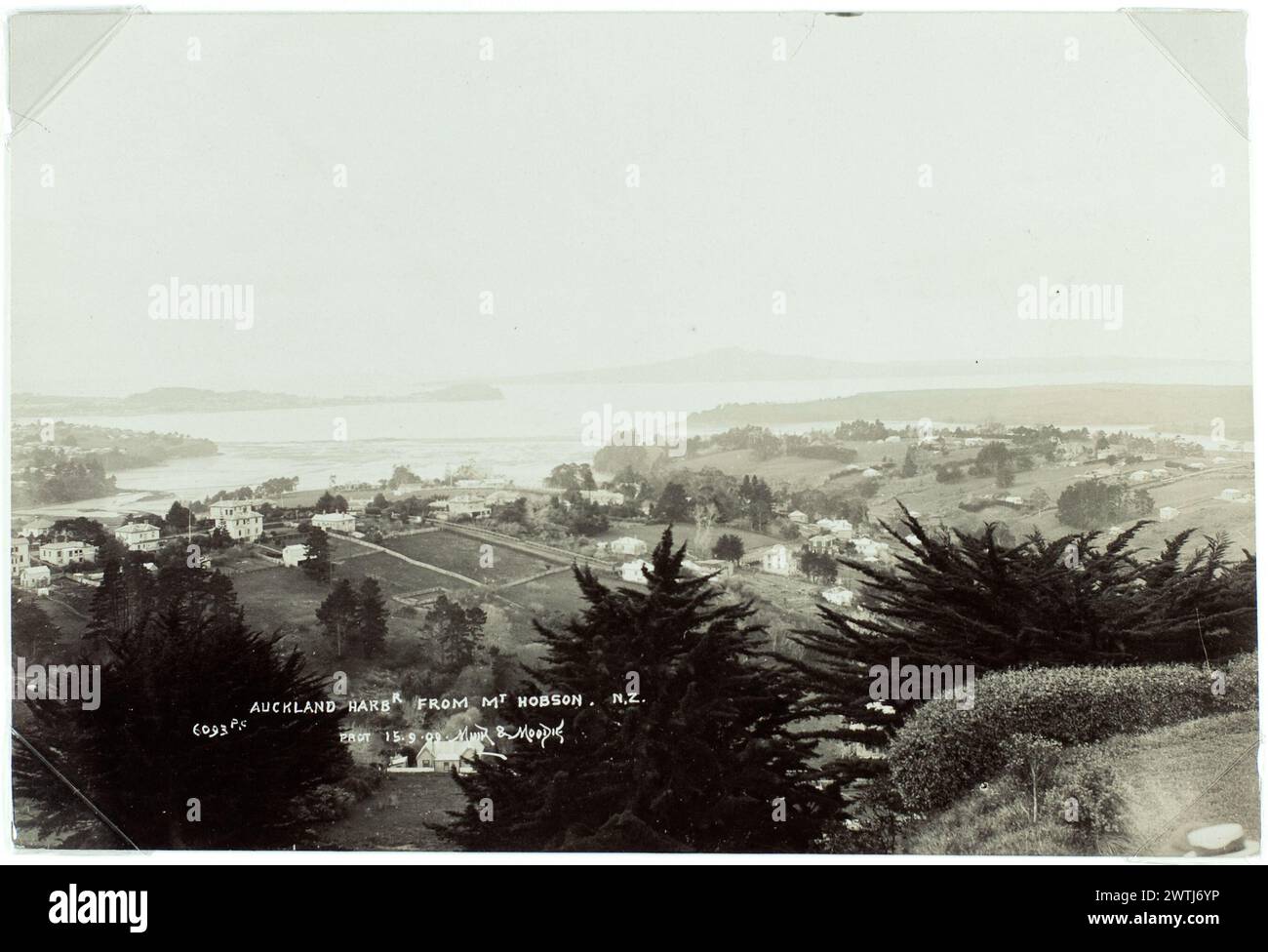 Auckland new zealand landmark Cut Out Stock Images & Pictures - Alamy