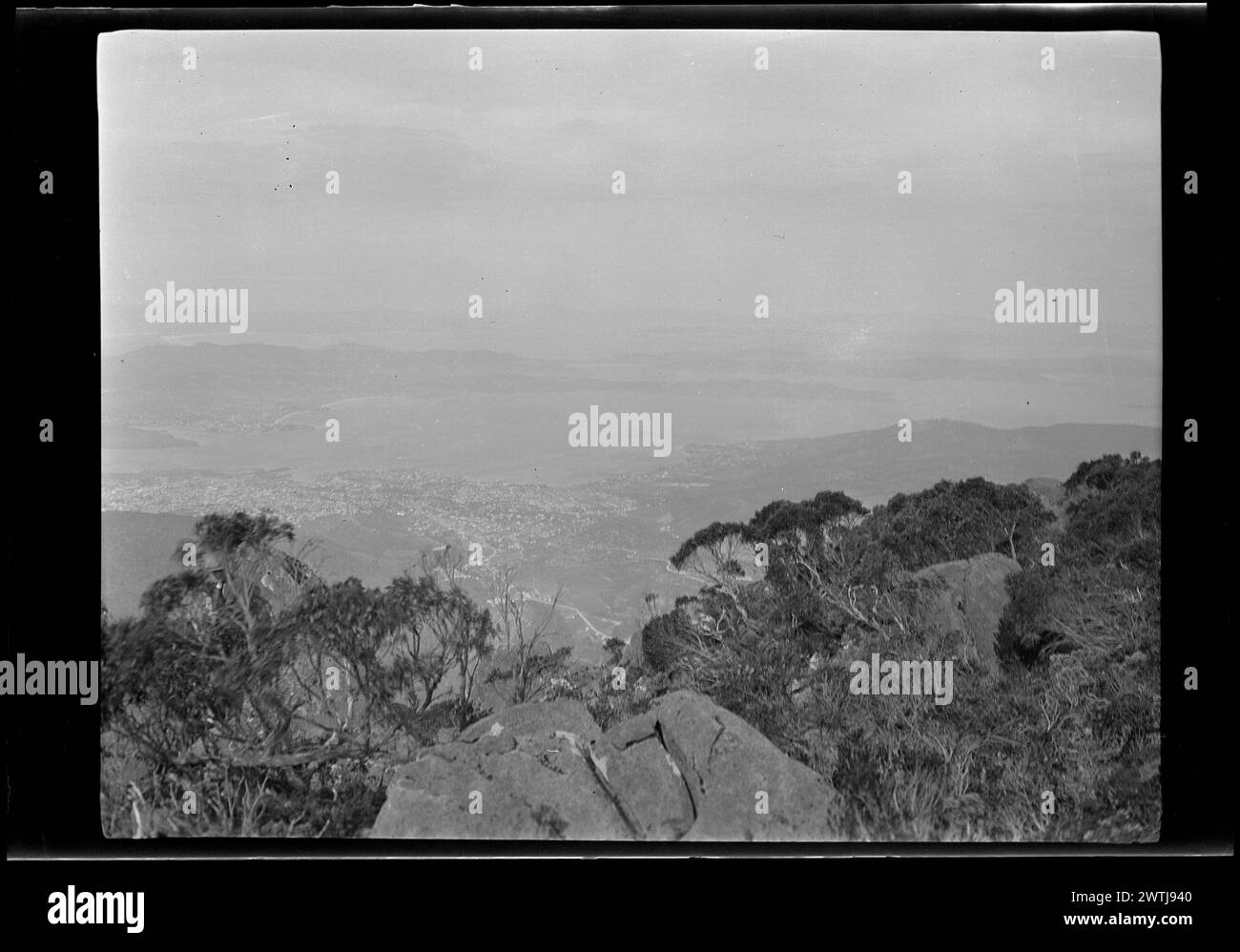 Trees distant Black and White Stock Photos & Images - Alamy