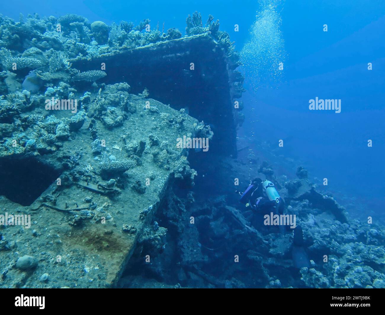 Wrack der Carnatic, Rotes Meer, Ägypten *** Wreck of the Carnatic, Red ...