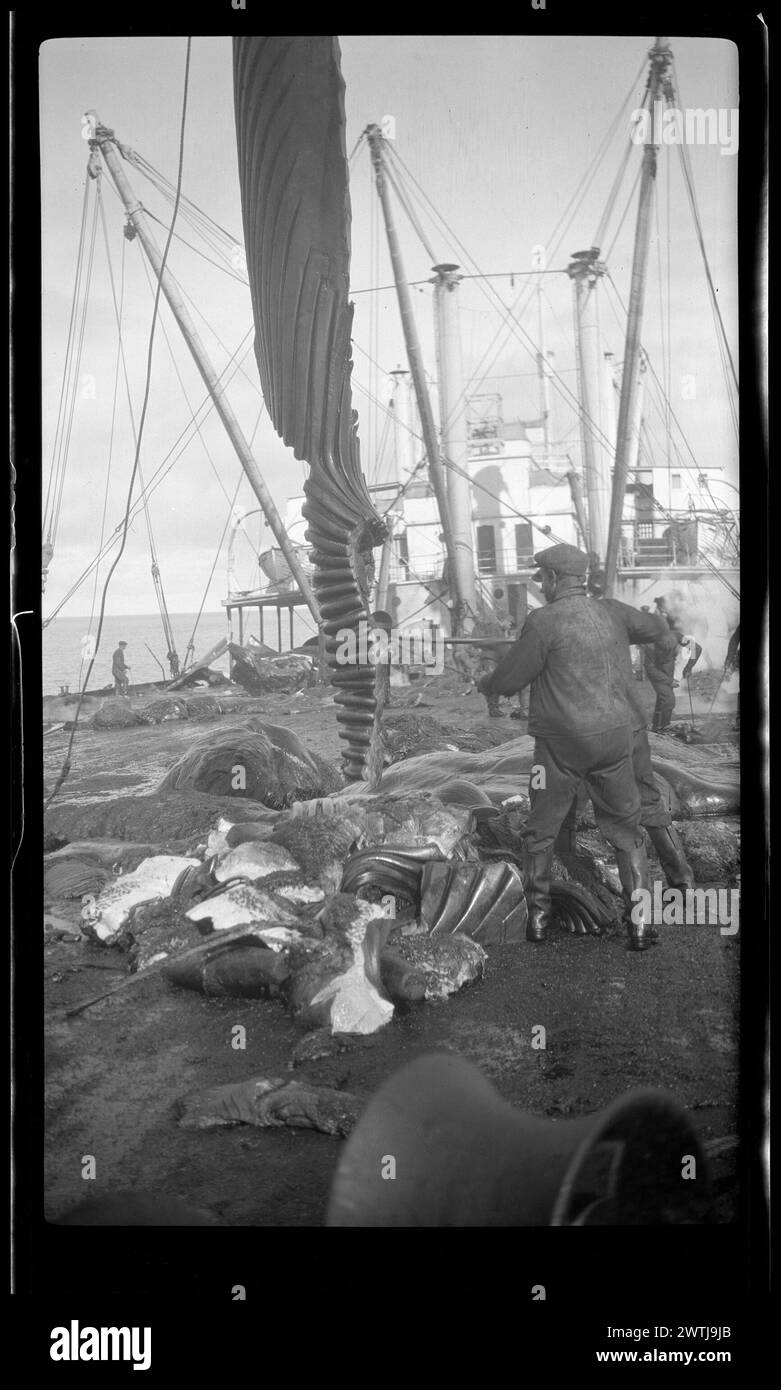 Marine regions Black and White Stock Photos & Images - Alamy