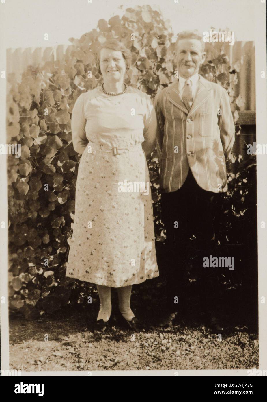 Mr finch hi-res stock photography and images - Alamy