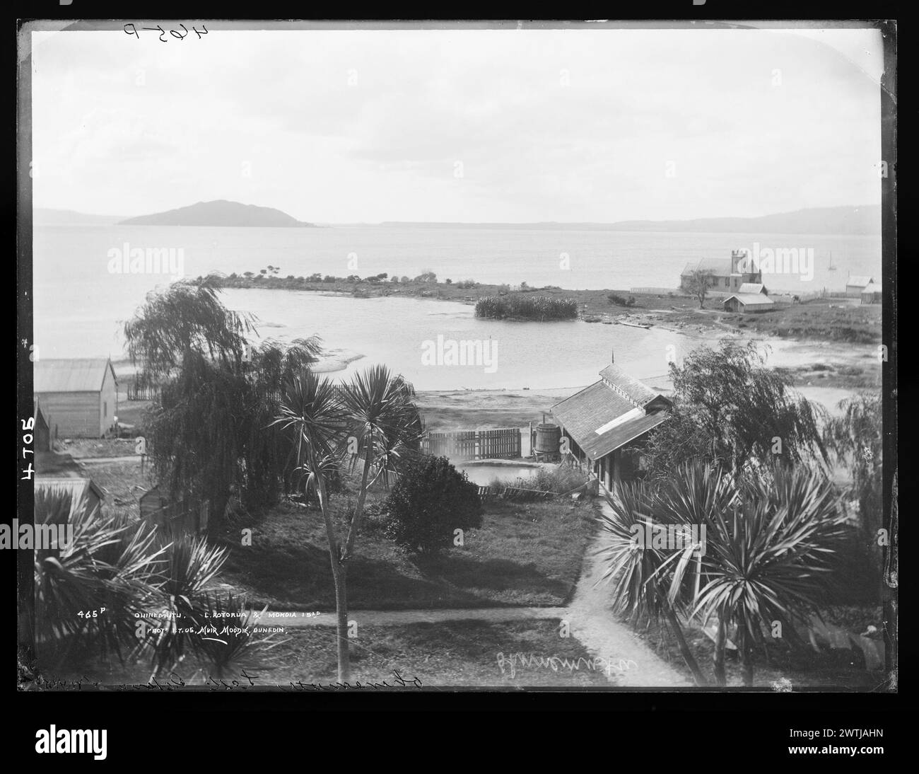 Lake rotorua and mokoia island hi-res stock photography and images - Alamy