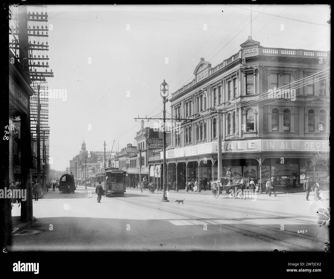 Dry_plate hi-res stock photography and images - Alamy