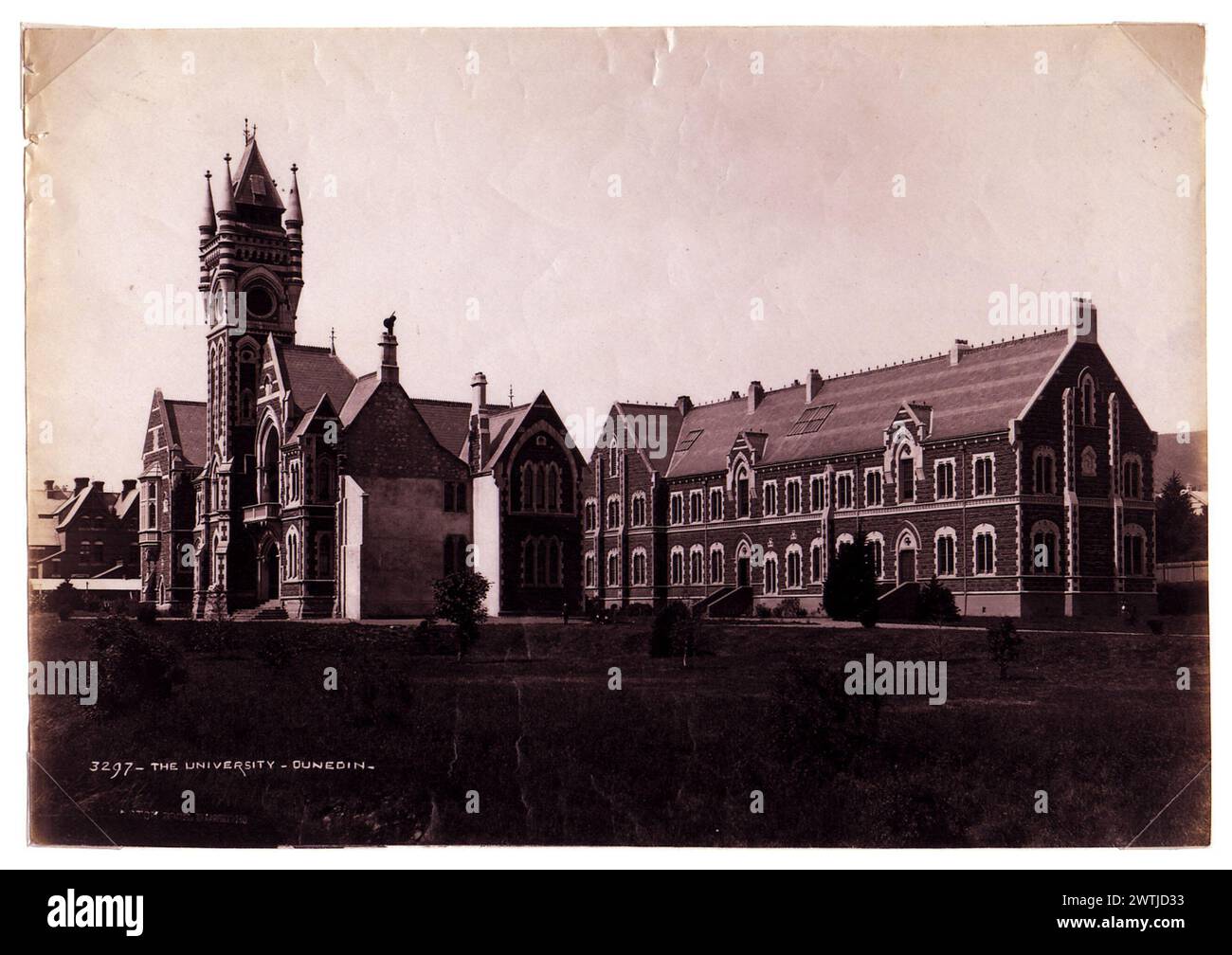 New zealand otago university Cut Out Stock Images & Pictures - Alamy