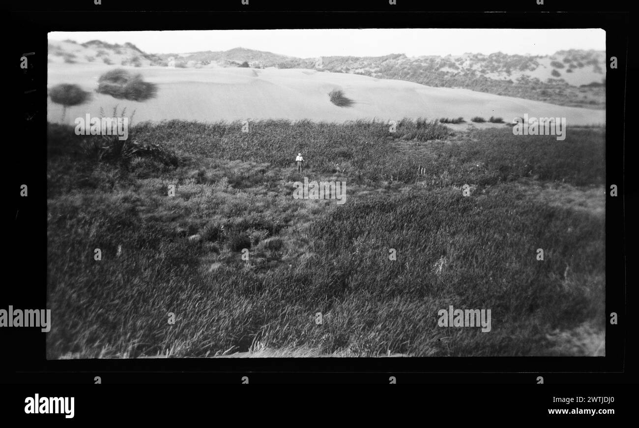 Historic Sites and features - Horowhenua : 18 January 1931 Nitrate ...