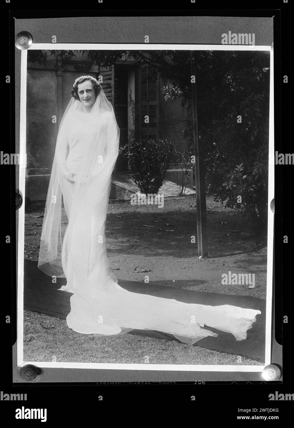 Woman; inscribed 'Mrs D. Barnett' Nitrate negatives, gelatin silver ...