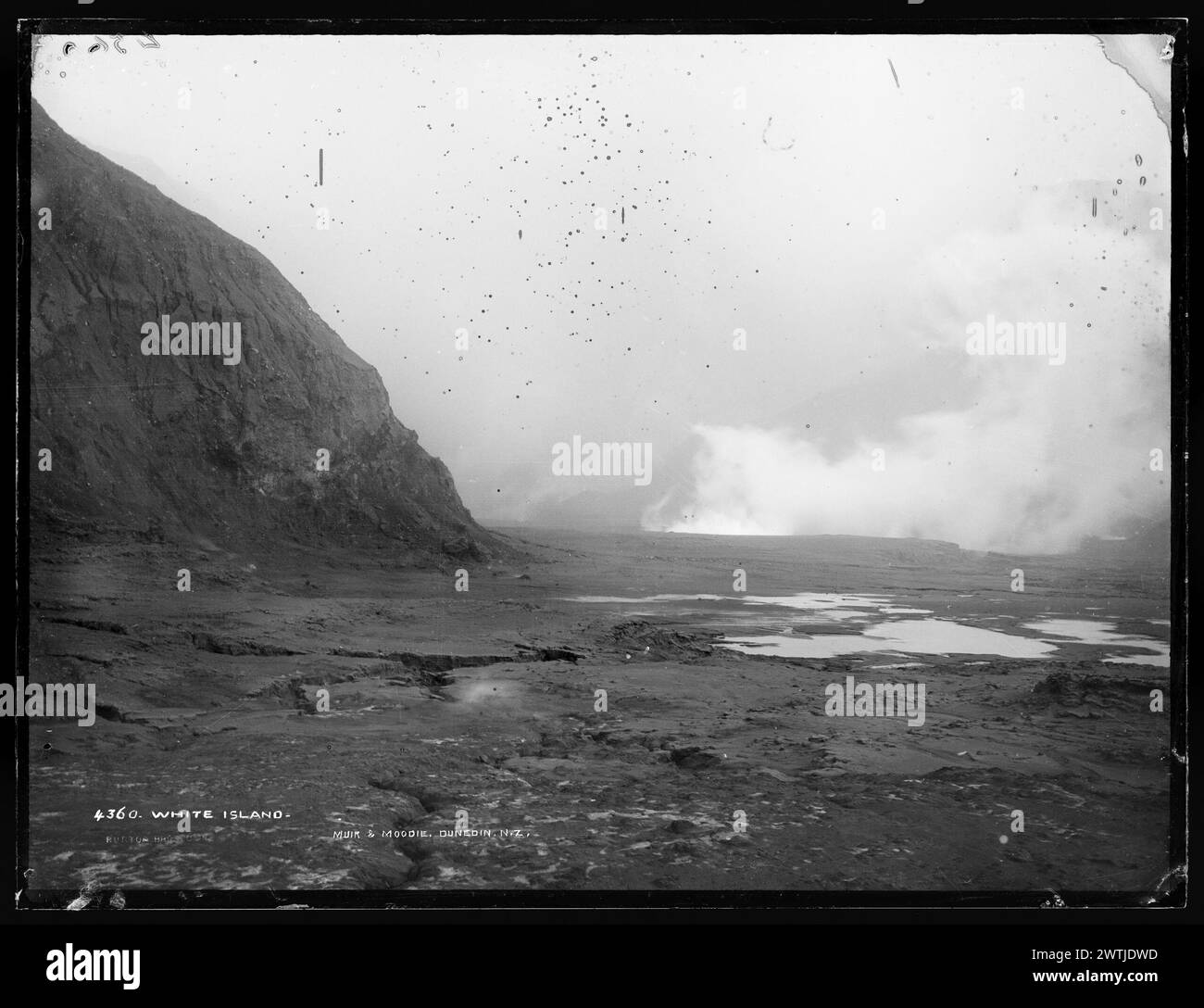 White Island gelatin dry plate negatives, black-and-white negatives ...