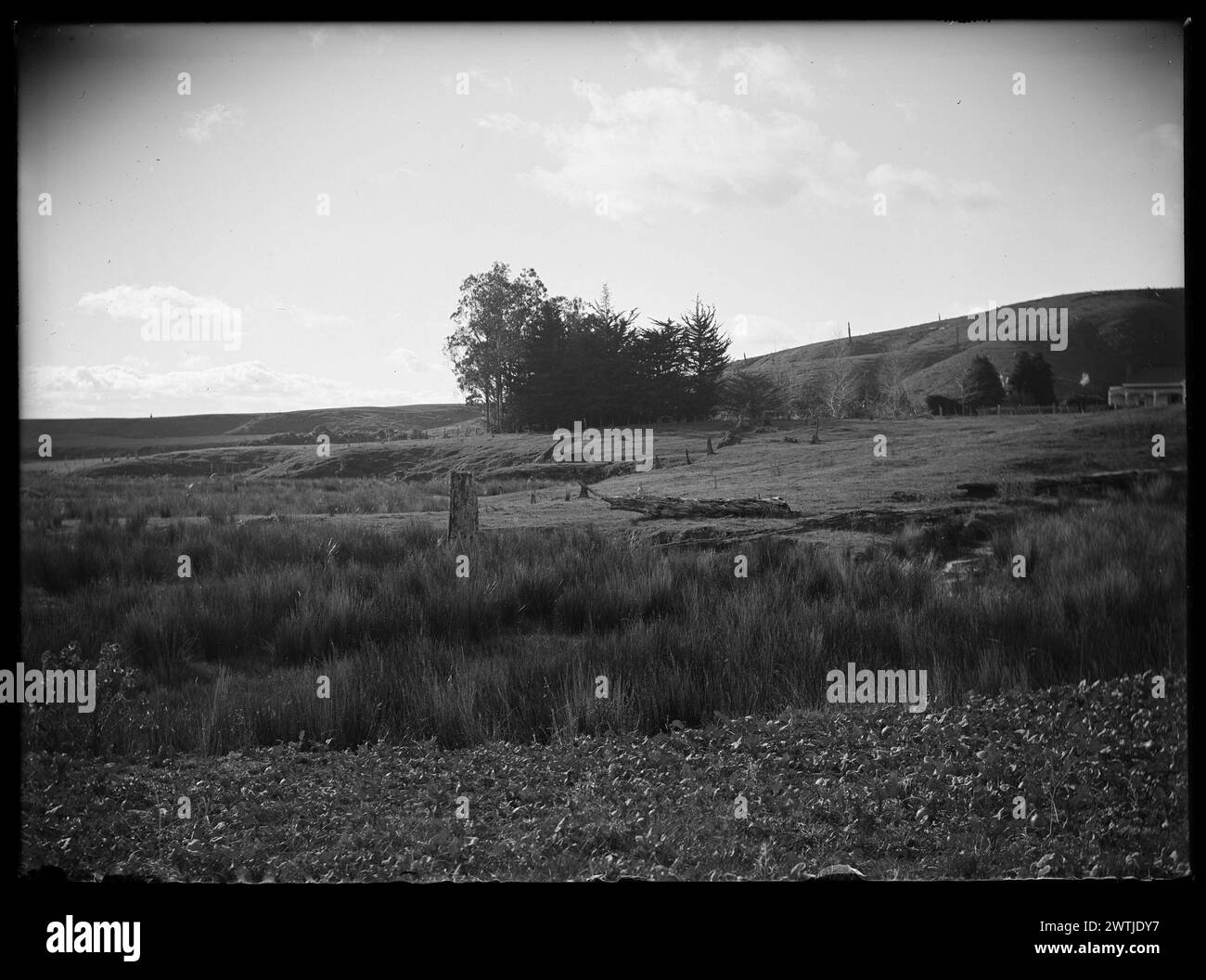Farm scenes at Woodside black-and-white negatives, landscapes, gelatin ...