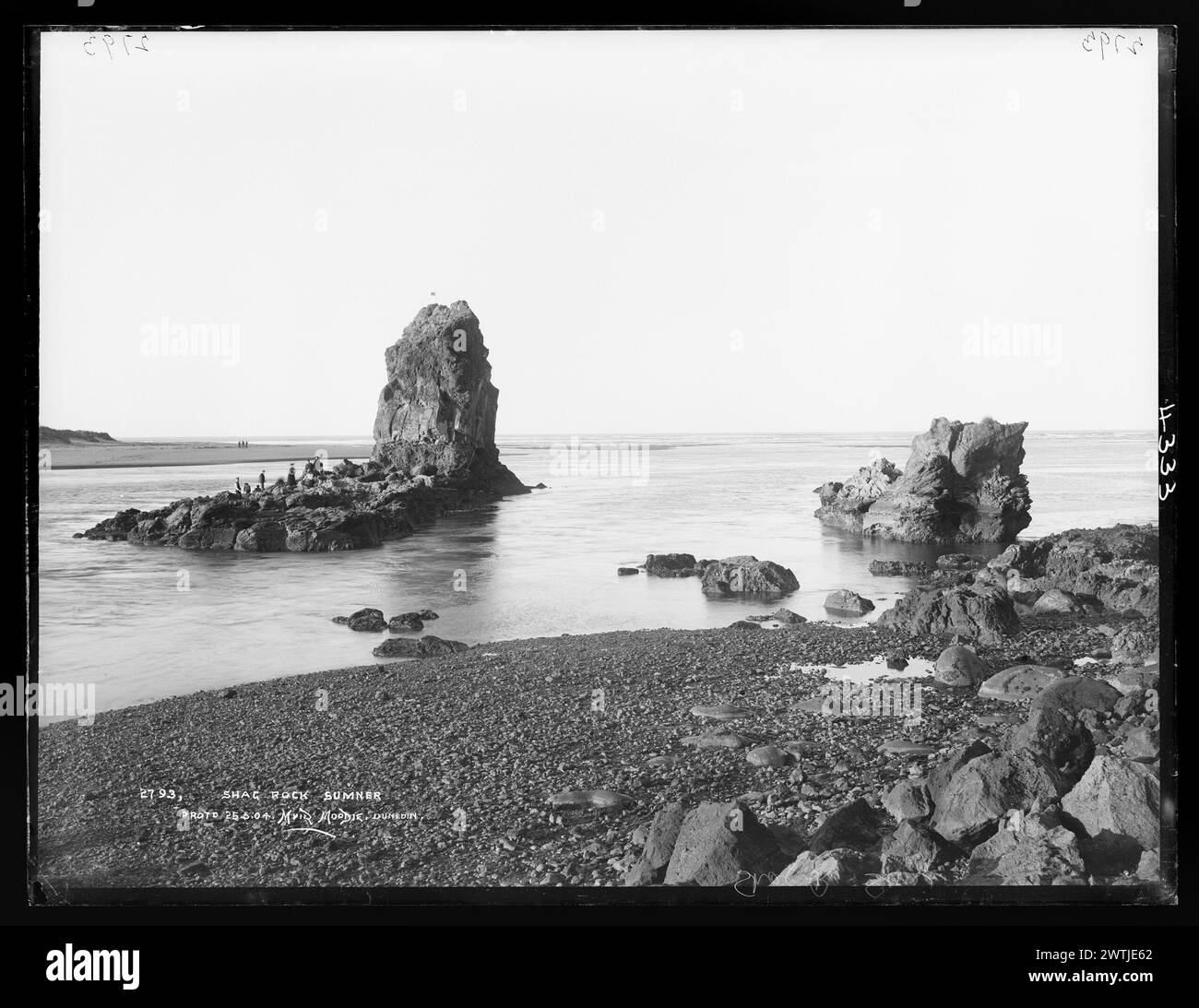 Shag Rock, Sumner gelatin dry plate negatives, black-and-white ...