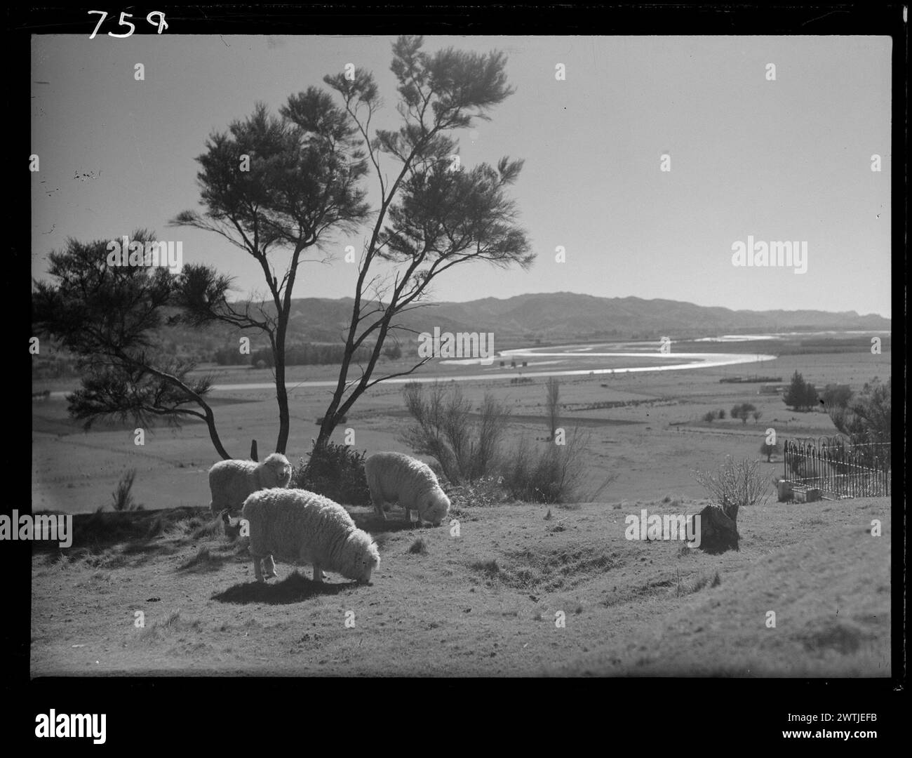 Waiapu valley waiapu valley hi-res stock photography and images - Alamy