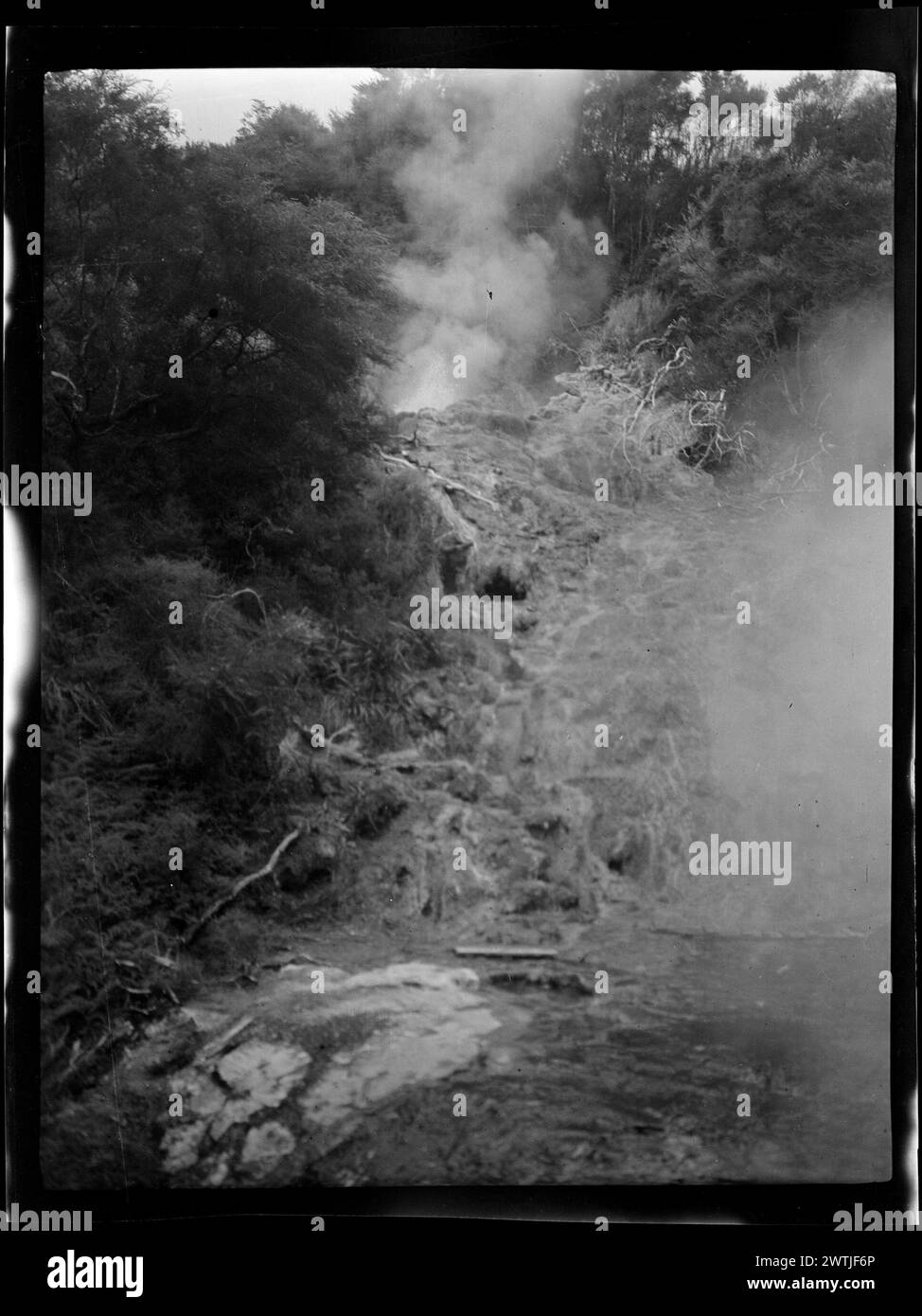 Geyser erupting Nitrate negatives, black-and-white negatives Stock ...