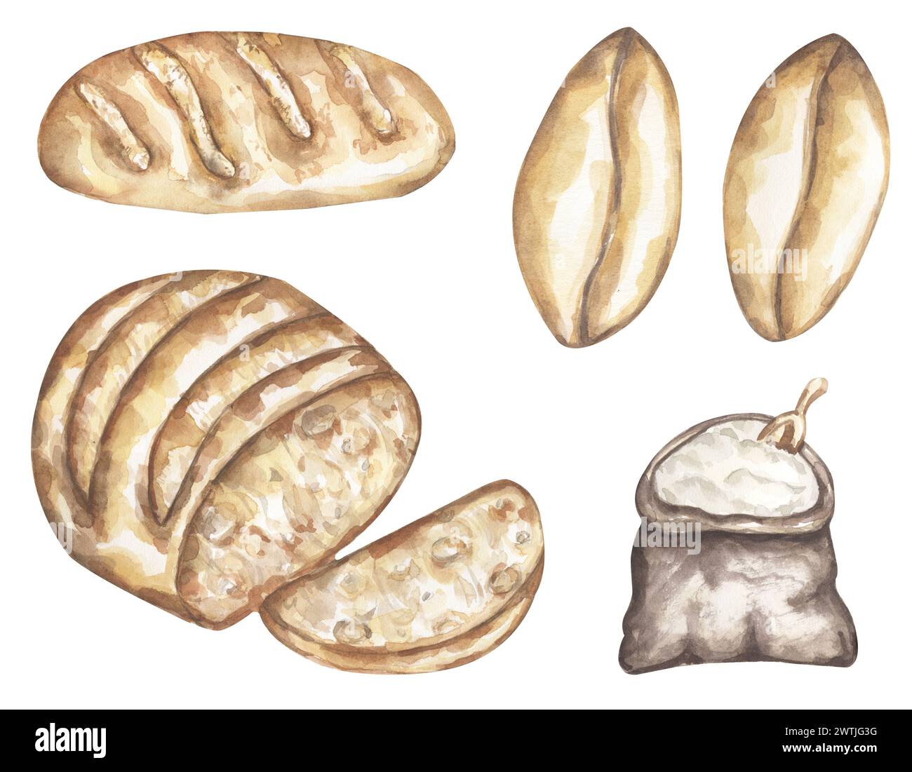 Watercolor flour with sack, wheat grain and bread illustration set ...