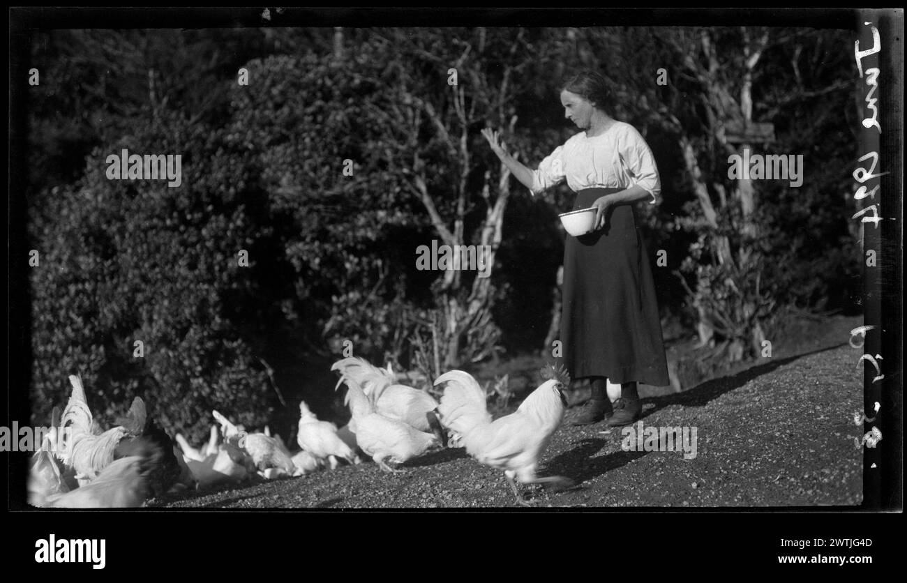 Portrait of Mrs Haldane gelatin silver negatives, black-and-white ...